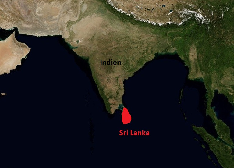 Terra Serpentes - Python m. Pimbura